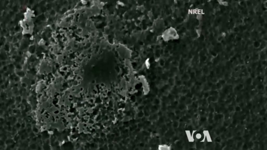 Plastic Eating Bacteria Is Now Faster – News For Kids