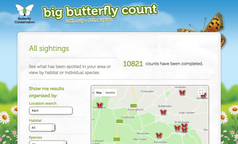 Big Butterfly Count Starts in UK – News For Kids