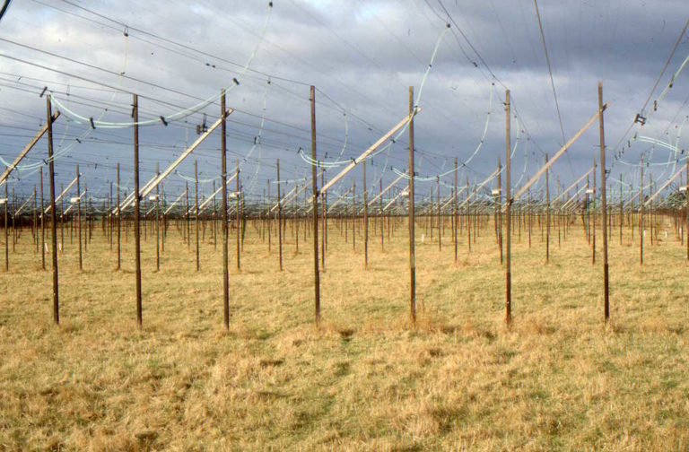 Jocelyn Bell Burnell Wins $3 Million Prize – News For Kids