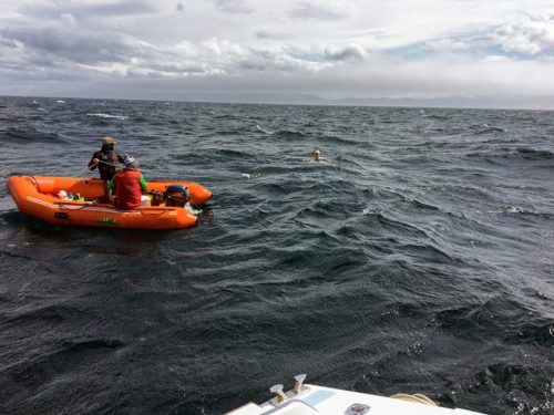Sarah Thomas Swims English Channel – 4 Times