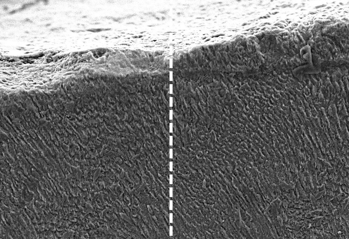 Scientists Create Toothpaste With Wool