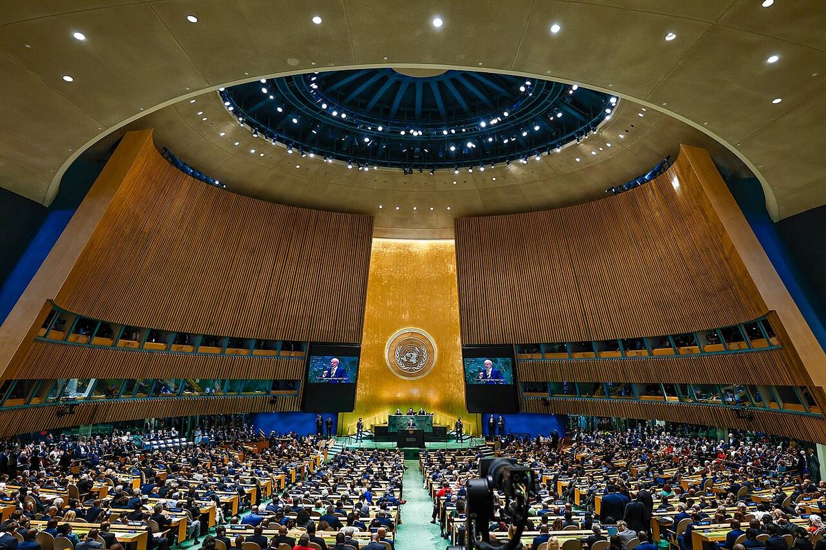 Forests Disappeared at Record Rate in 2024