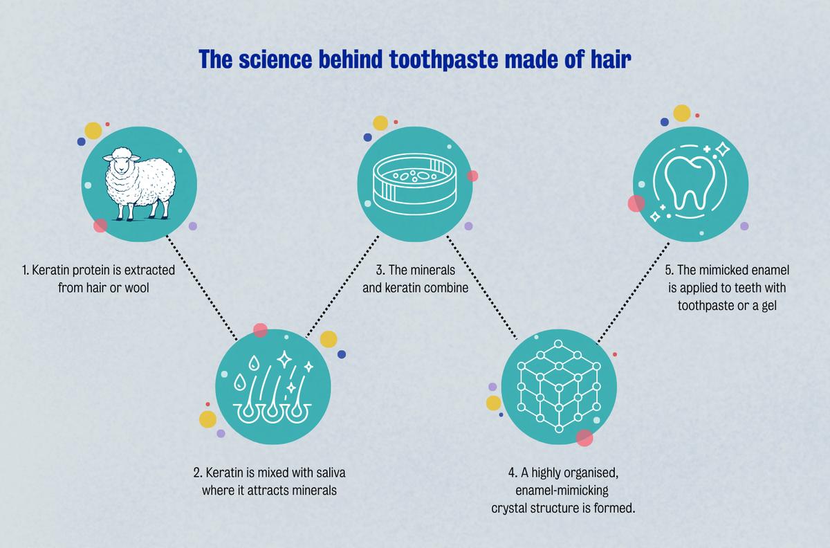 Scientists Create Toothpaste With Wool