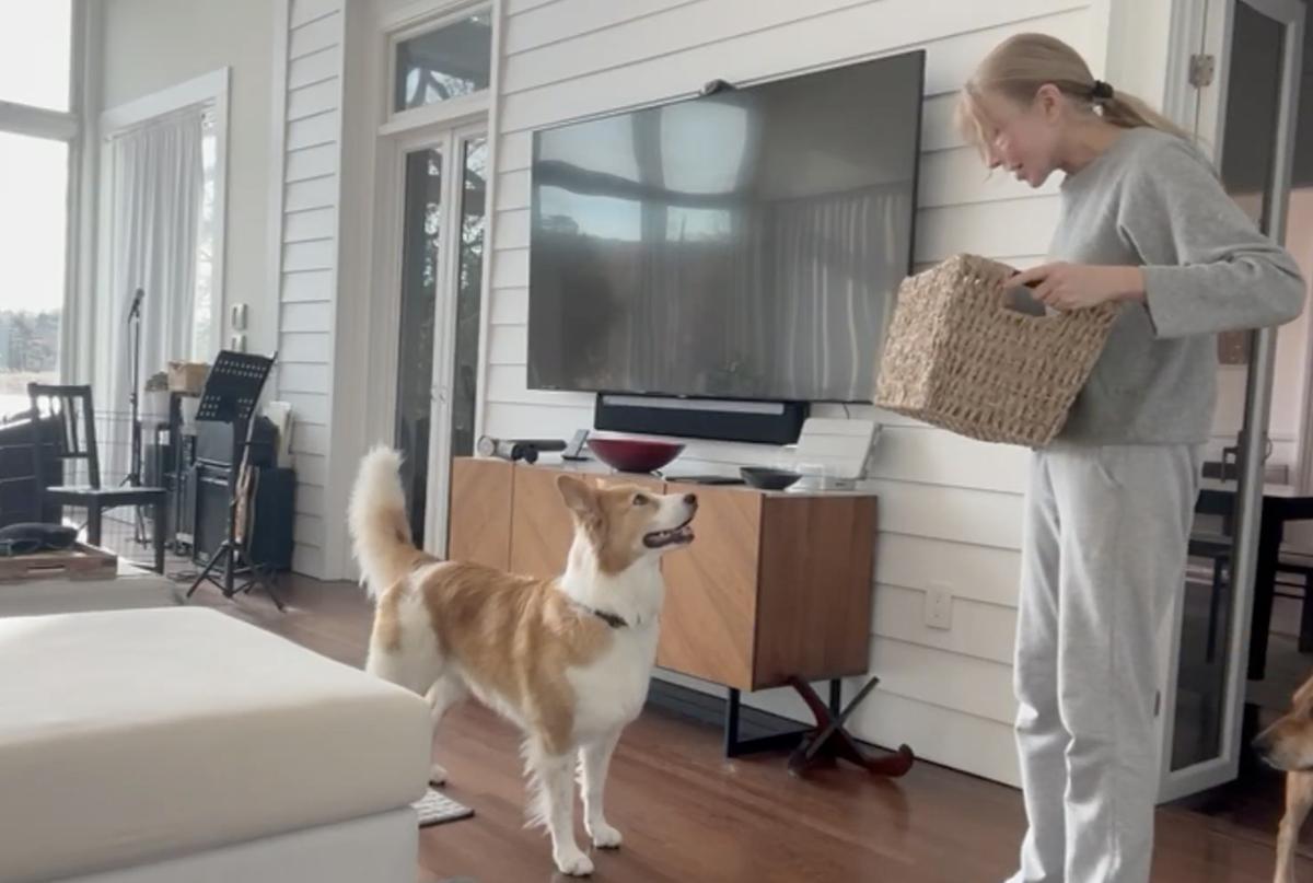 Brainy Dogs Learn Words by Listening In